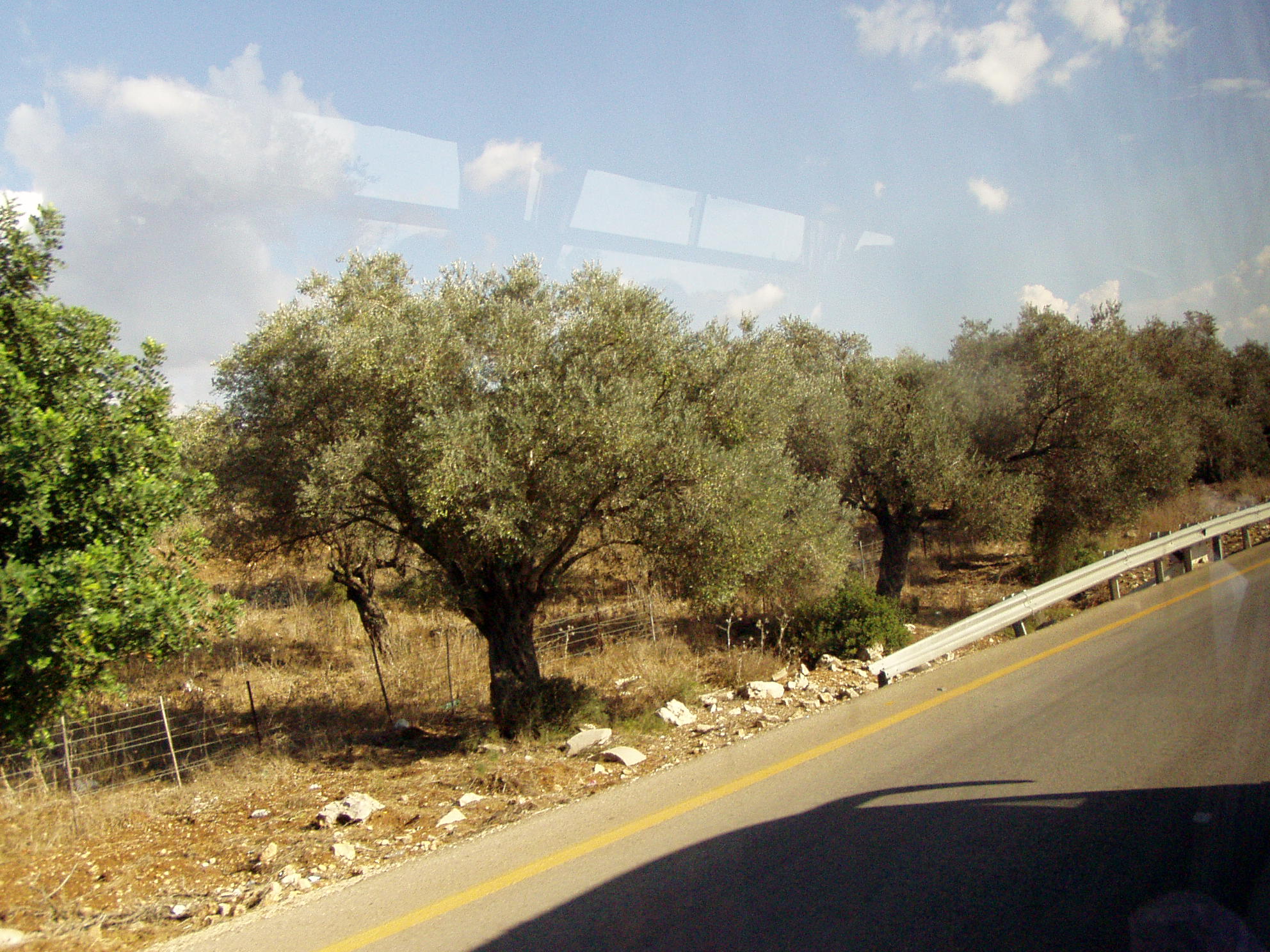 The Feast of Israel - First Fruits